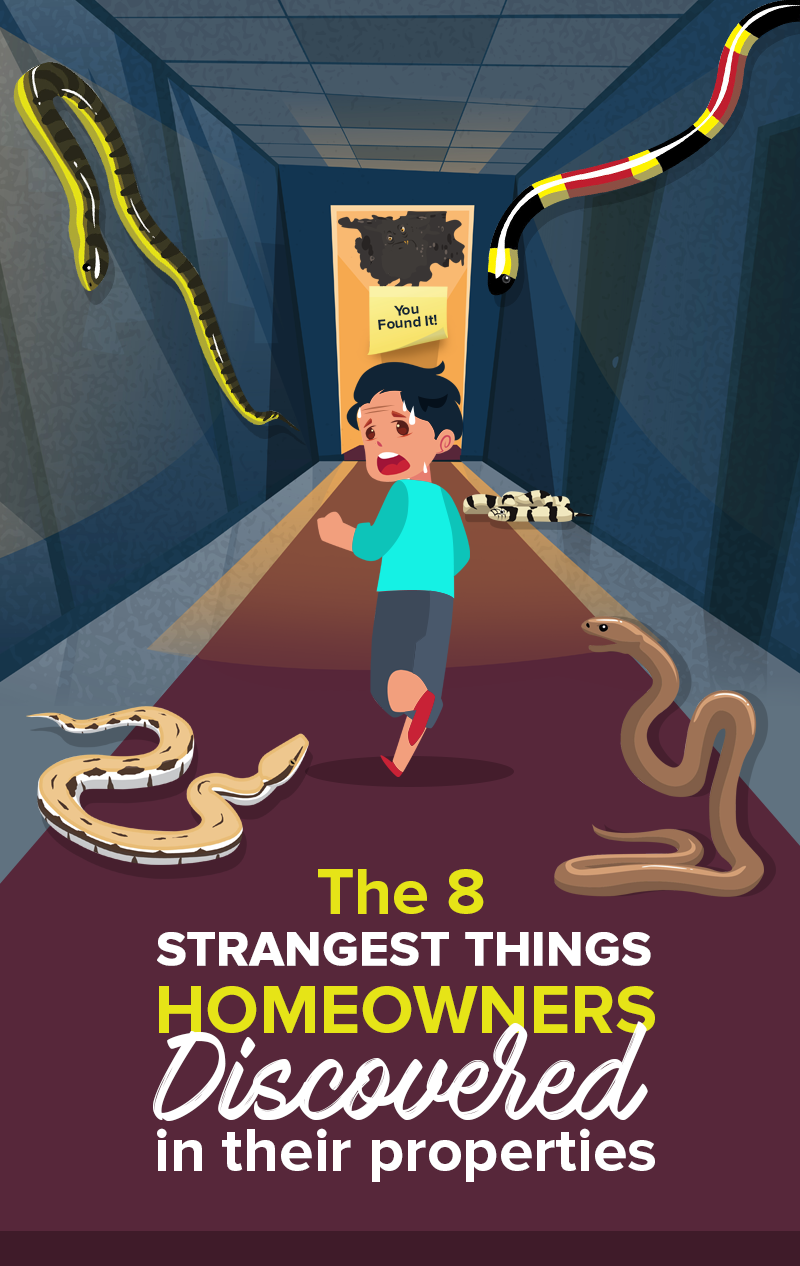 8 Of The Most Unexpected Things US Homeowners Found In Their Properties ...